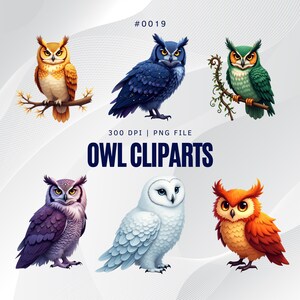 20 Owl Clipart Design Digital Printable | PNG File Digital Download - Etsy
