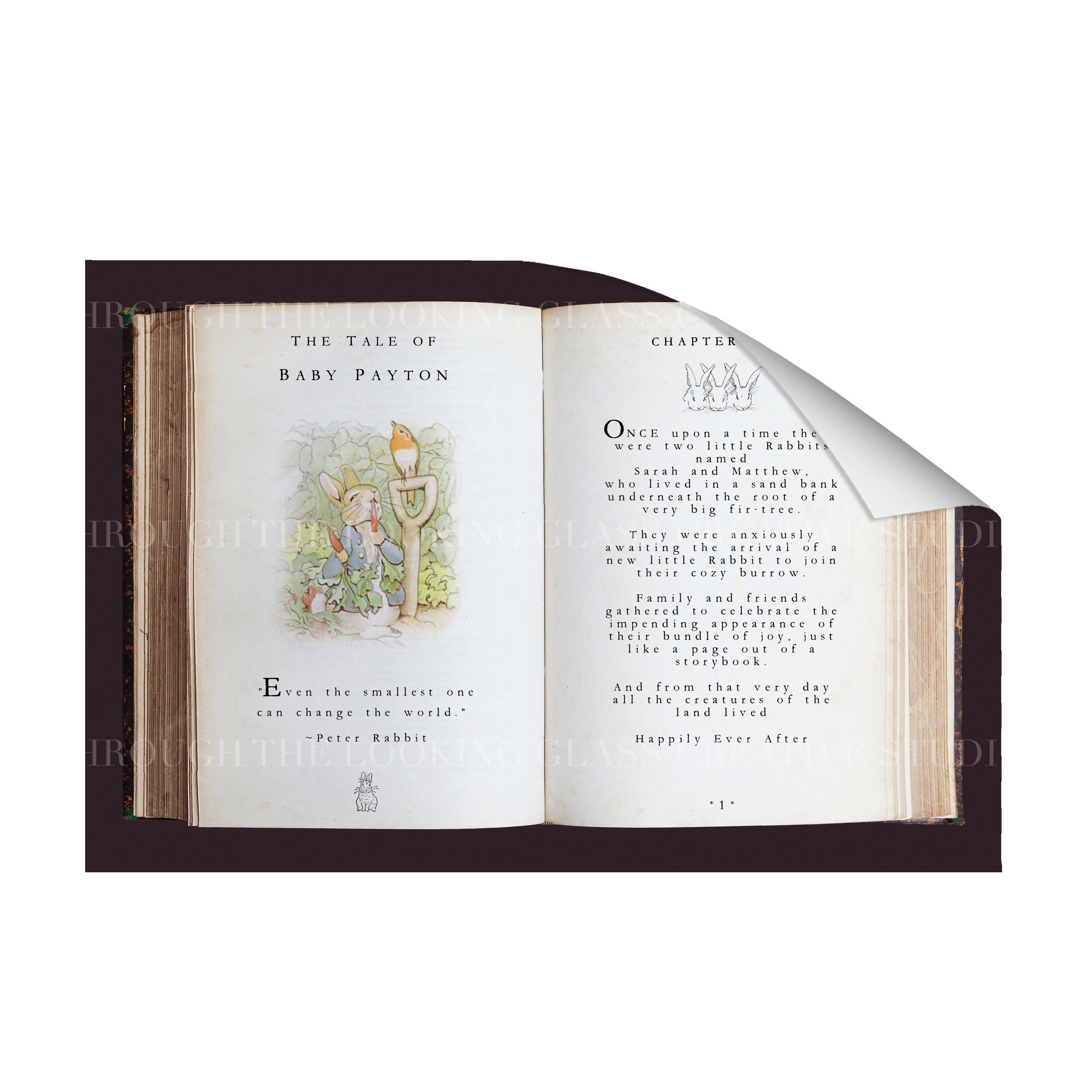 Peter Rabbit Baby Shower Storybook Decoration Baby Art Beatrix - Etsy