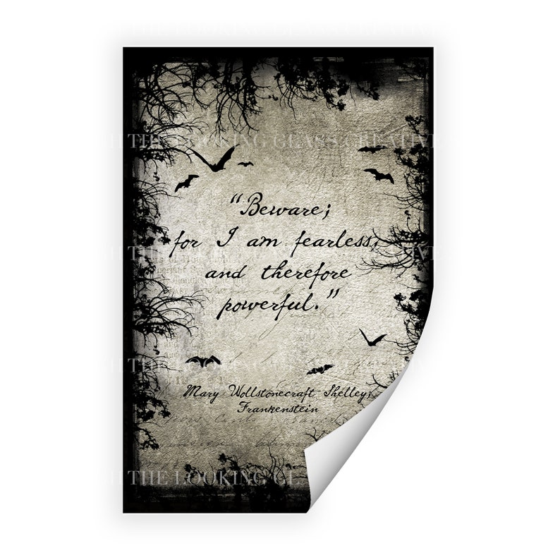 Gothic Frankenstein Art - Mary Shelley Quote - Fearless Home Decor With ...