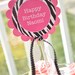 Zebra Cupcake Toppers, Girls 1st Birthday Party, Zebra Stripe Party ...
