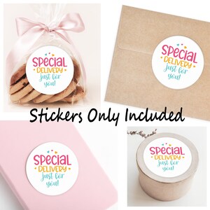 Small Business Package Stickers 2.5" Special Delivery Just for You ...