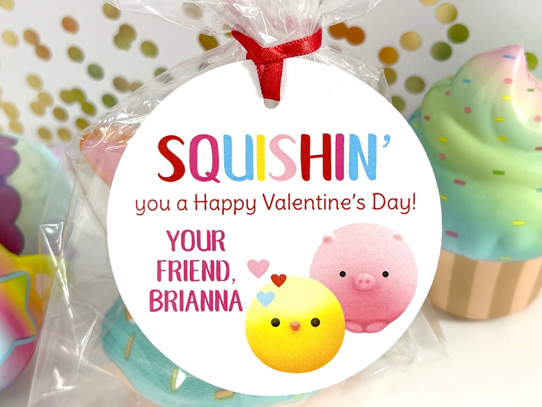 Squishy Toy Valentine Tags and Bags School Valentines Day Exchange ...