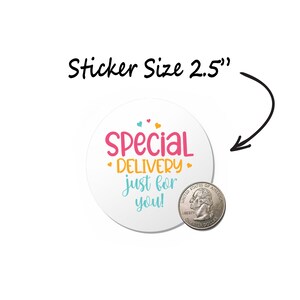 Small Business Package Stickers 2.5" Special Delivery Just for You ...