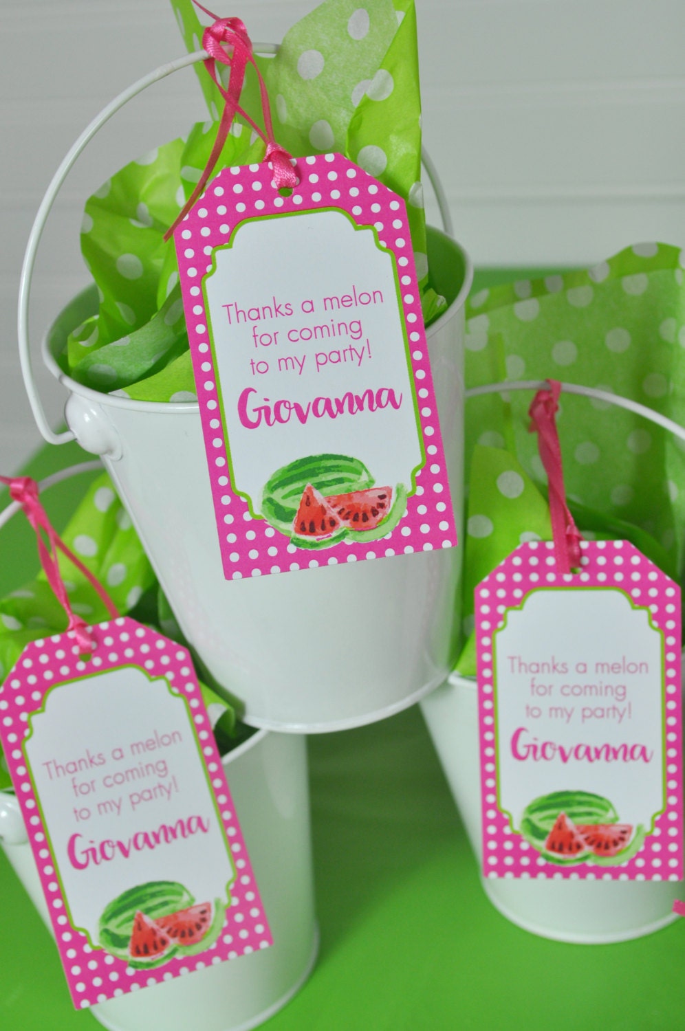 Watermelon Party Favor Tags Thank You Tags Party Favors - Etsy