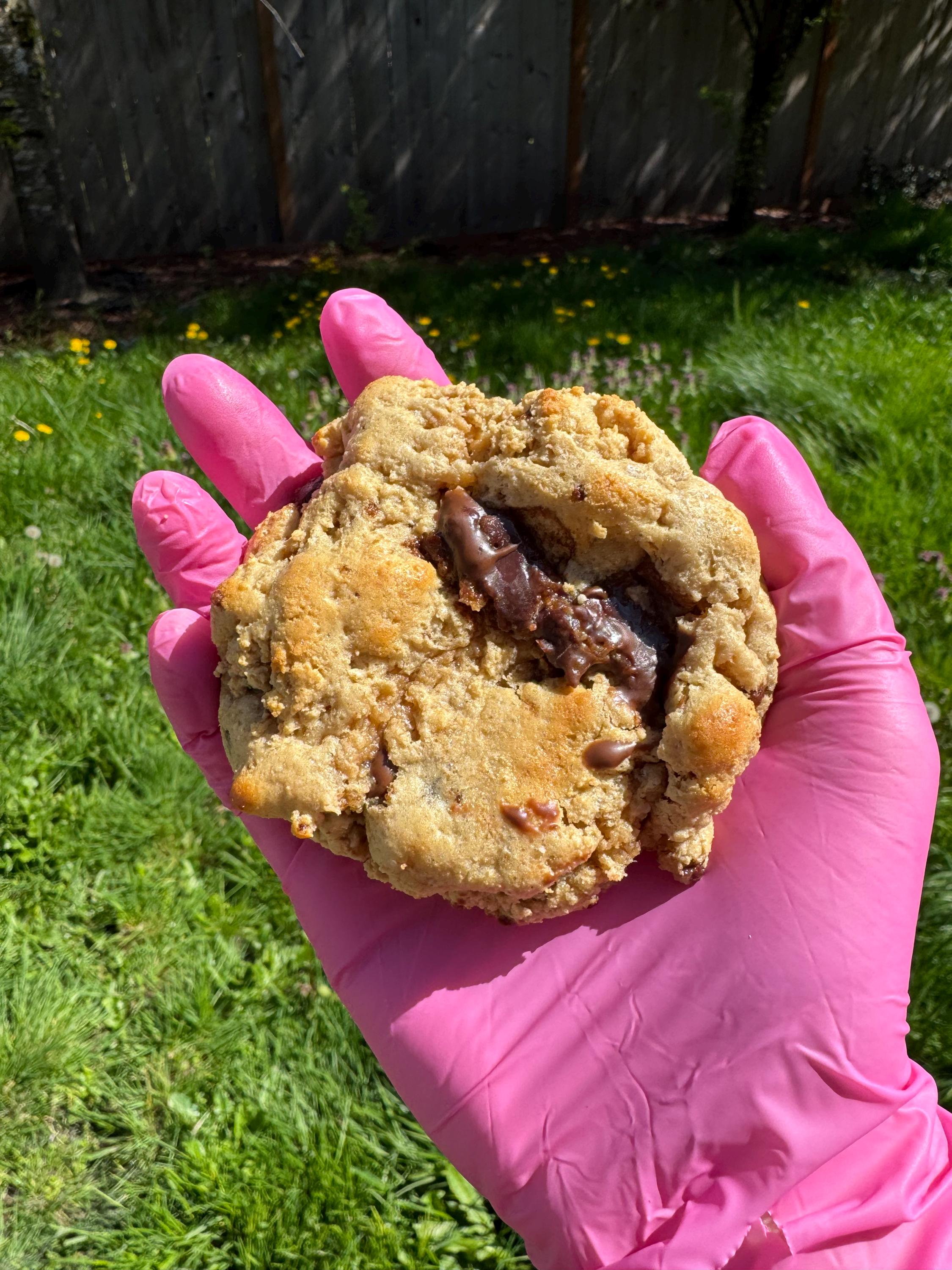 High-protein Chocolate Chip Cookie Recipe - Etsy