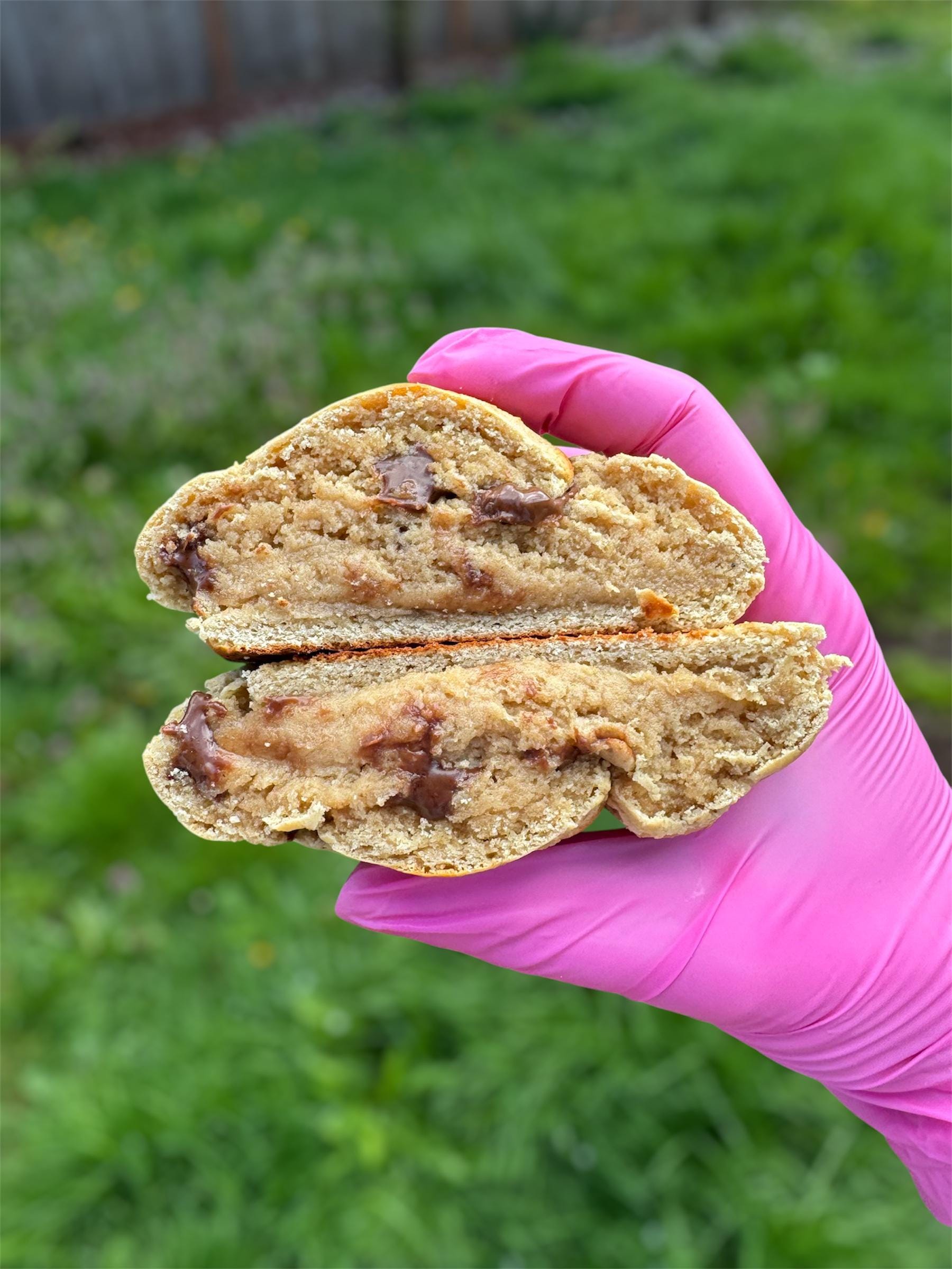 High-protein Chocolate Chip Cookie Recipe - Etsy