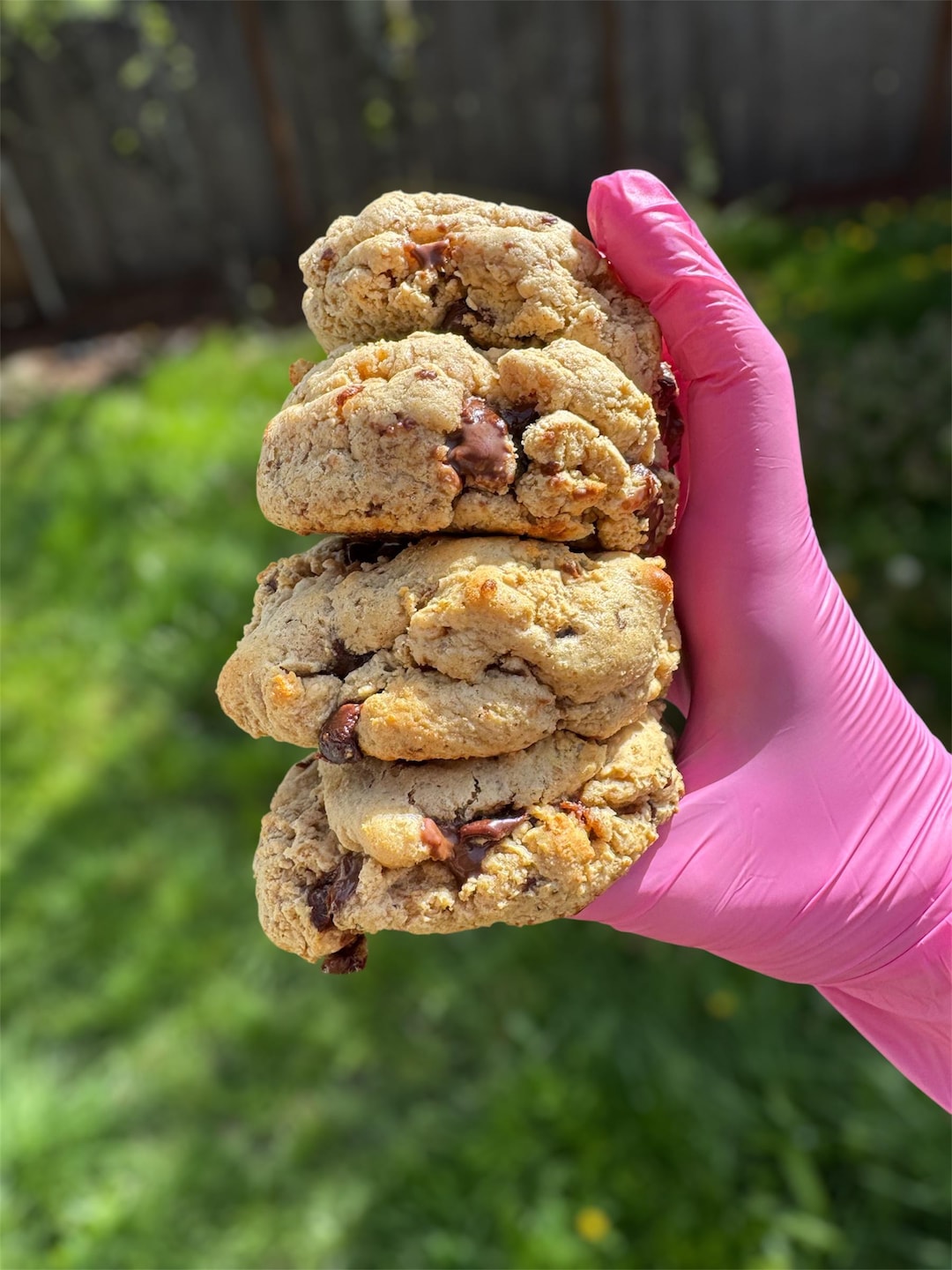High-protein Chocolate Chip Cookie Recipe - Etsy