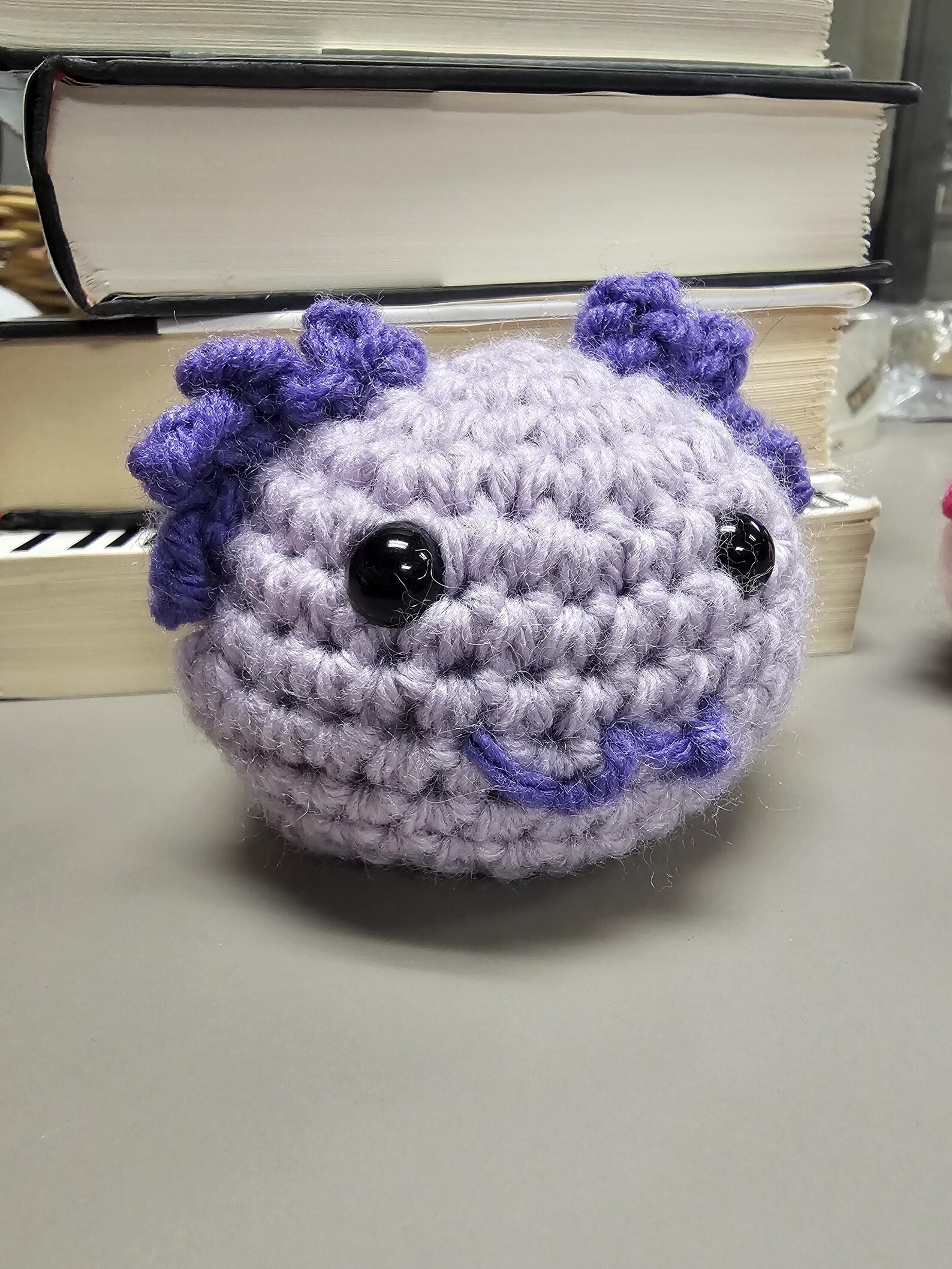Chunky & Cheeky Axolotl Crochet Plush - Etsy