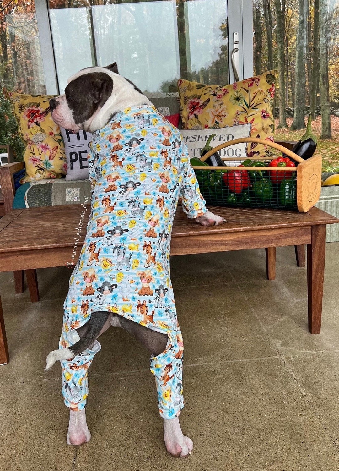 4XL “pitbull” Pajamas - Etsy