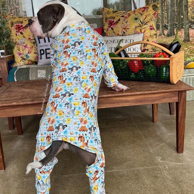 Pitbull Costume - Etsy