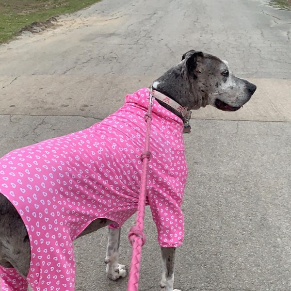 Great Dane Coat - Etsy