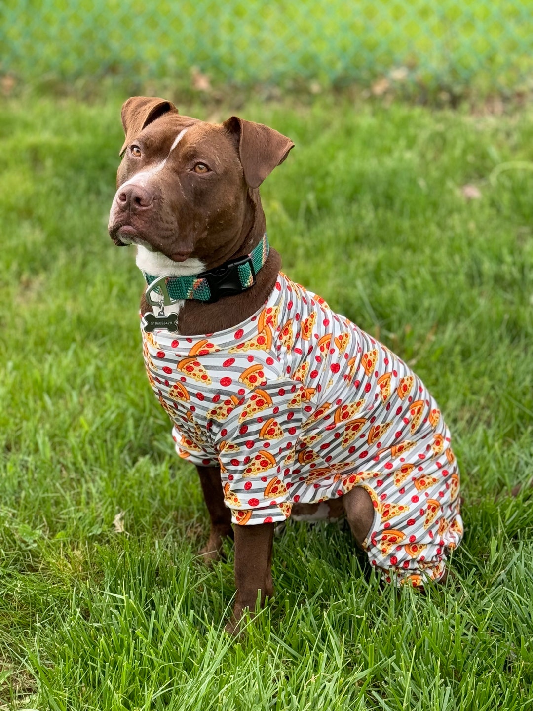 3XL Dog Pjs- Ready to Ship “the Tony” - Etsy