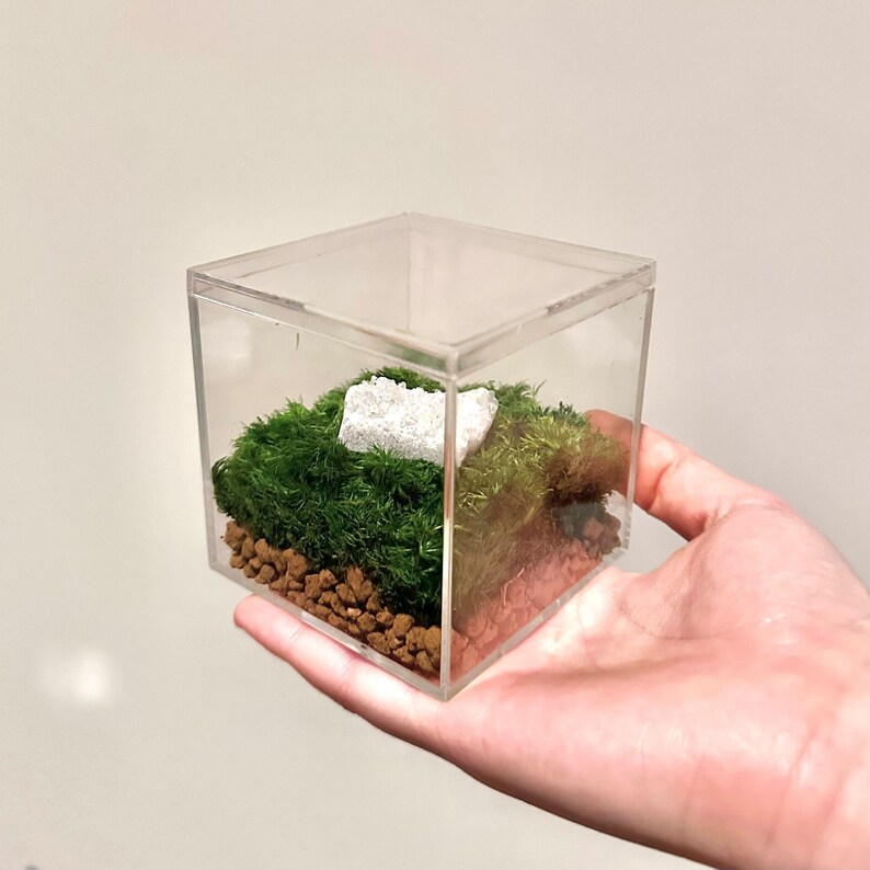 Crystal Amethyst Terrarium Kit,home Office Desk Accessories,diy Craft ...