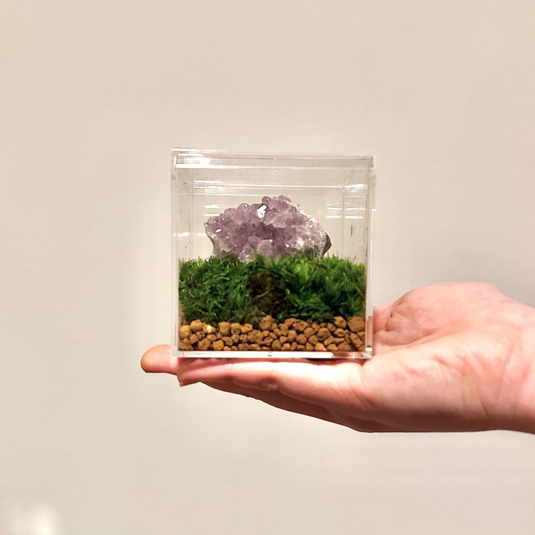 Crystal Amethyst Terrarium Kit,home Office Desk Accessories,diy Craft ...