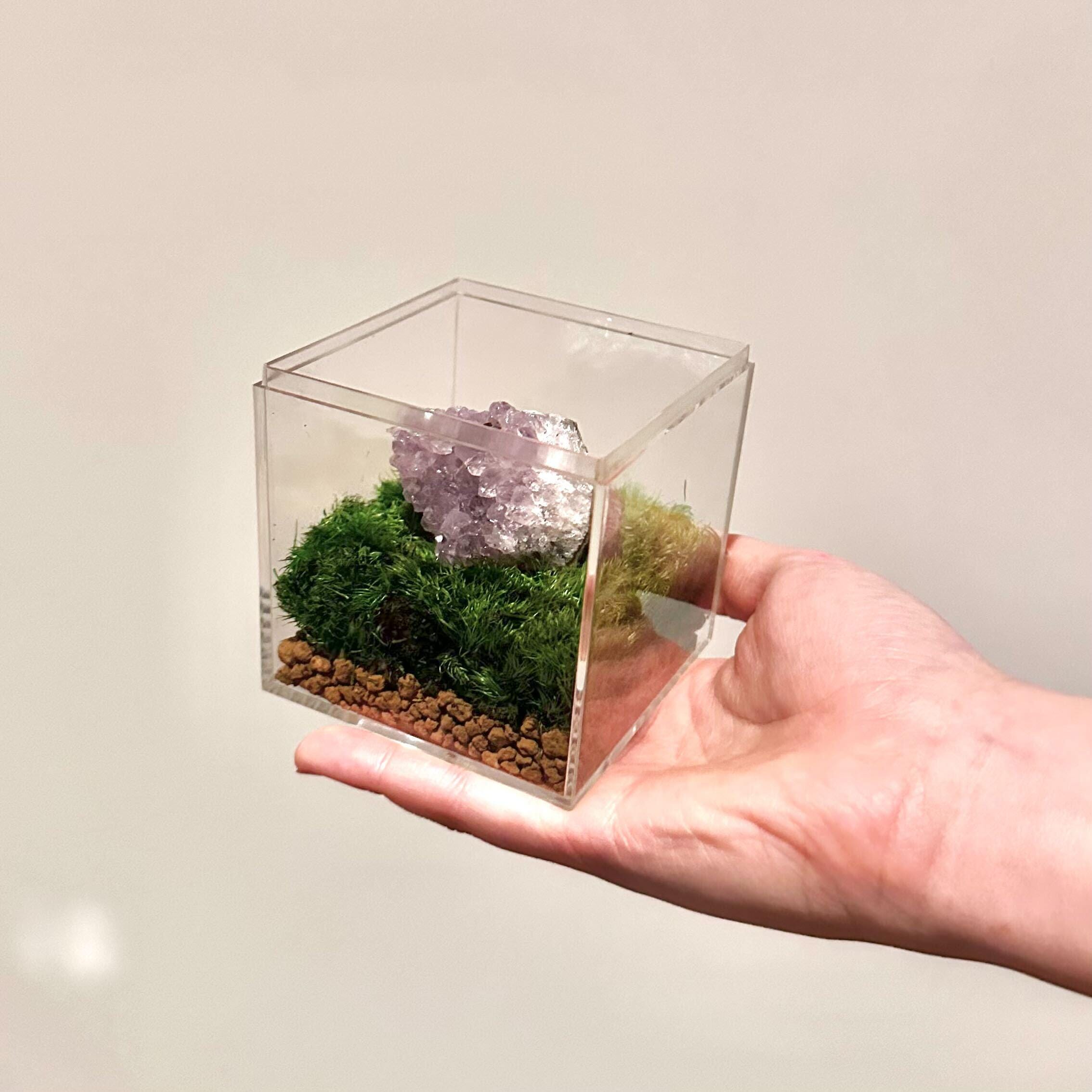 Crystal Amethyst Terrarium Kit,home Office Desk Accessories,diy Craft ...