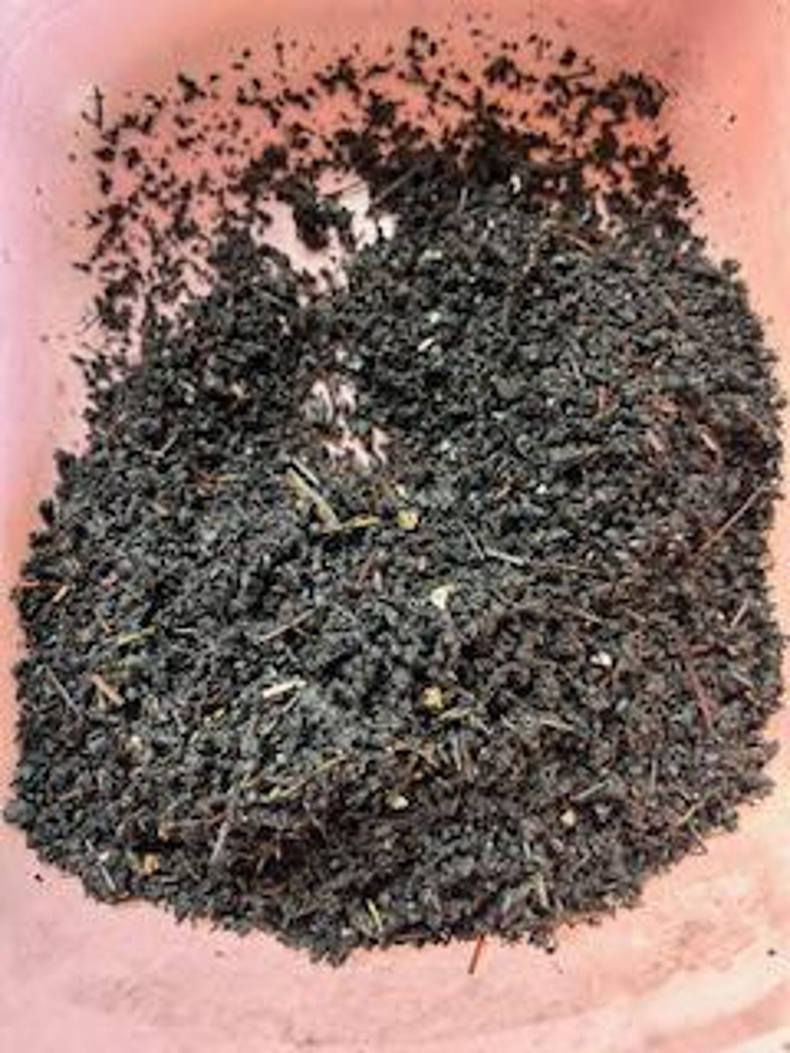 Blended Compost Biochar - Etsy