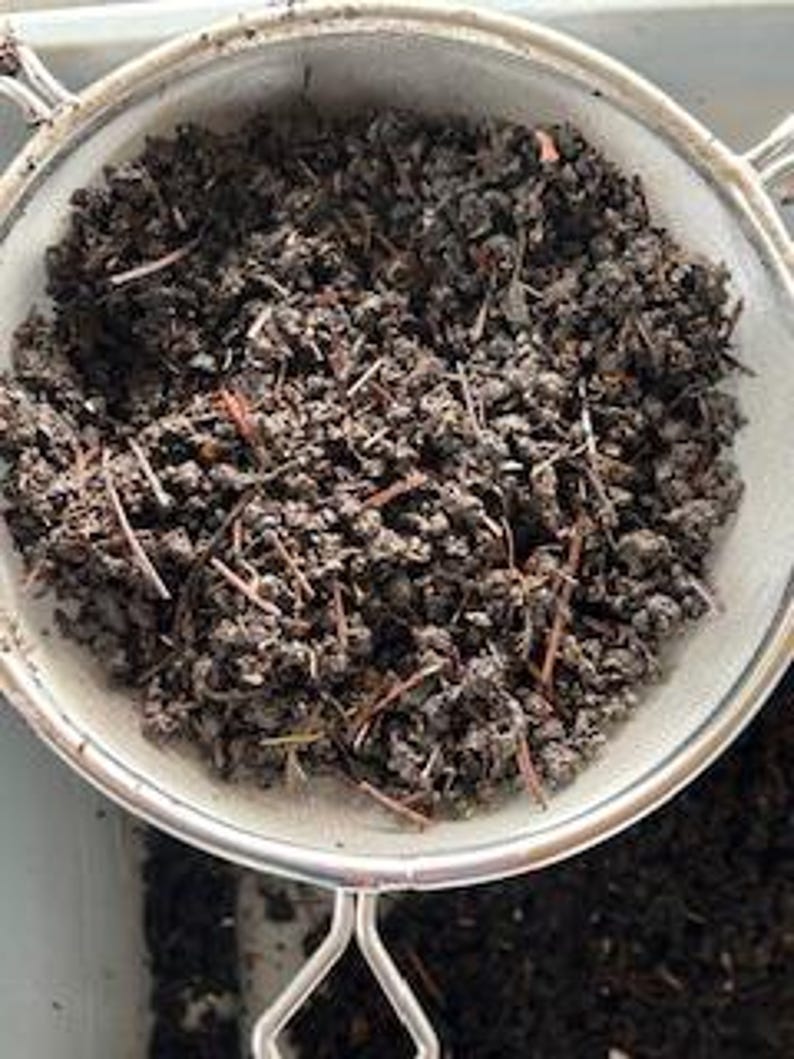 Blended Compost Biochar - Etsy