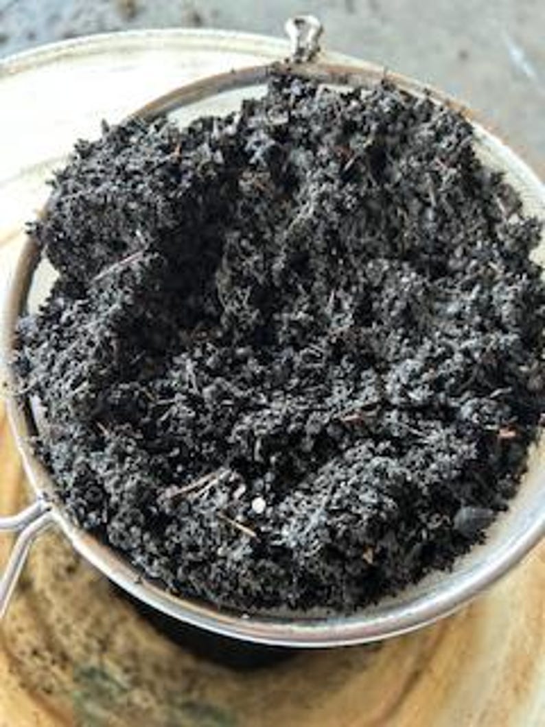 Blended Compost Biochar - Etsy