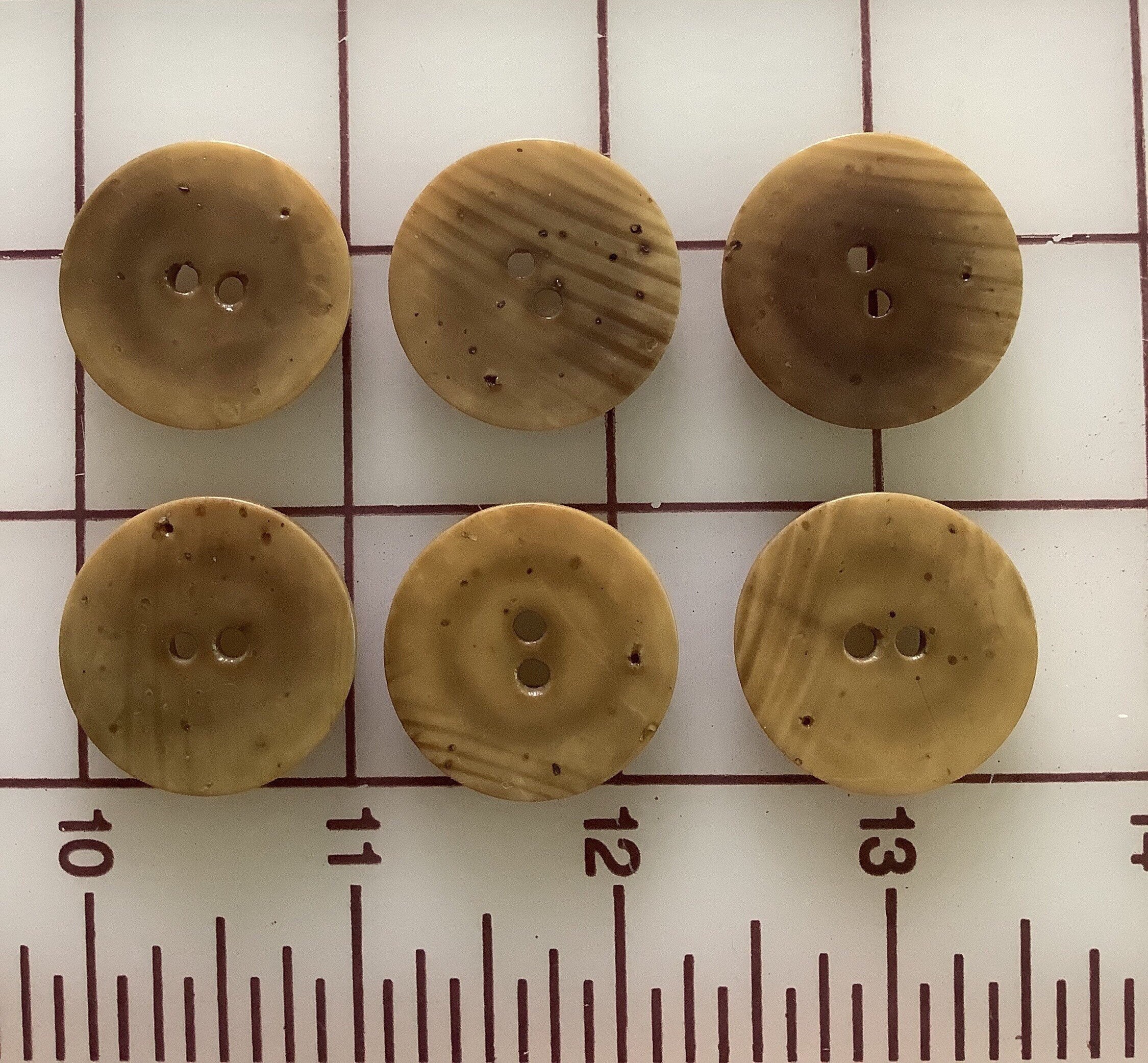 Six Large Vegetable Ivory Buttons - Etsy.de