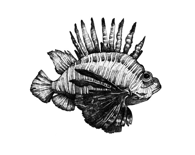 This item is unavailable - Etsy