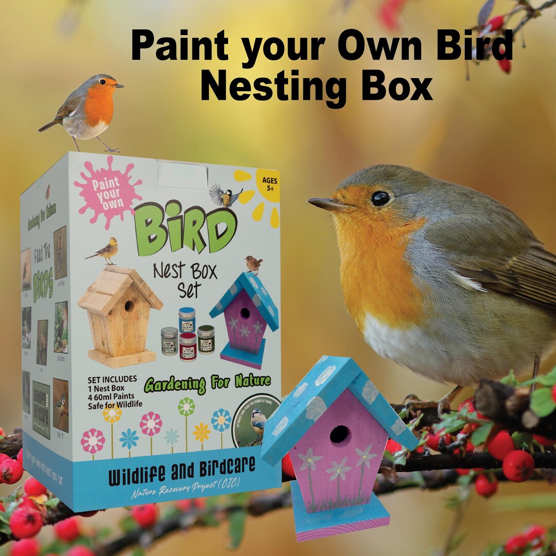 Paint Your Own Bird Nest Box - Etsy