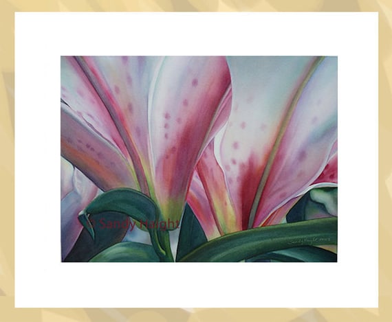 Green Stargazer Lily