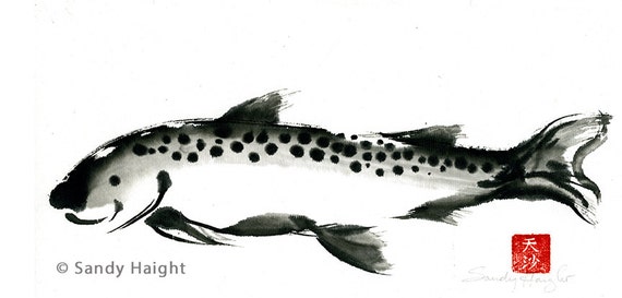 Shop - Sandy Haight Fine Art