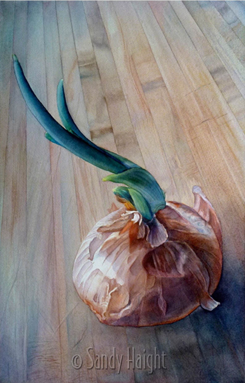 Original Watercolor Painting, Sprouting Onion, Art, Vegetable, Kitchen ...