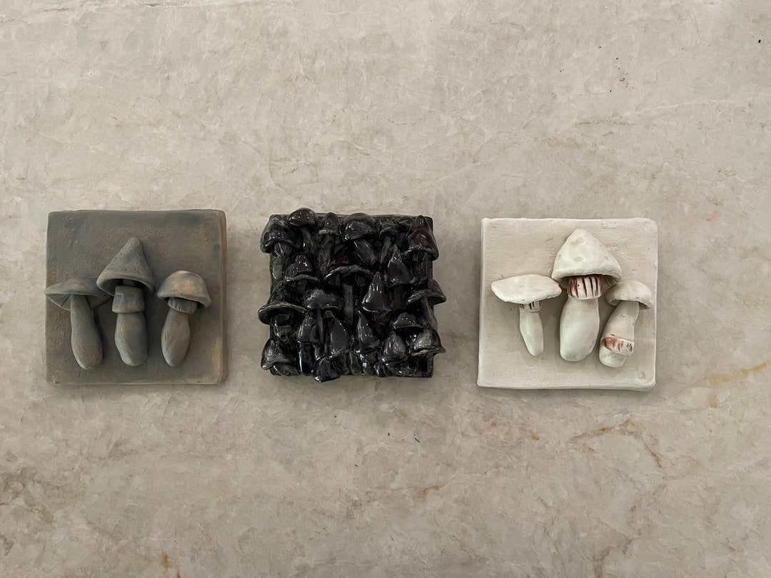 MUSHROOMS Tiles 4x4 Wall Art Home Fungi Decor Backsplash - Etsy