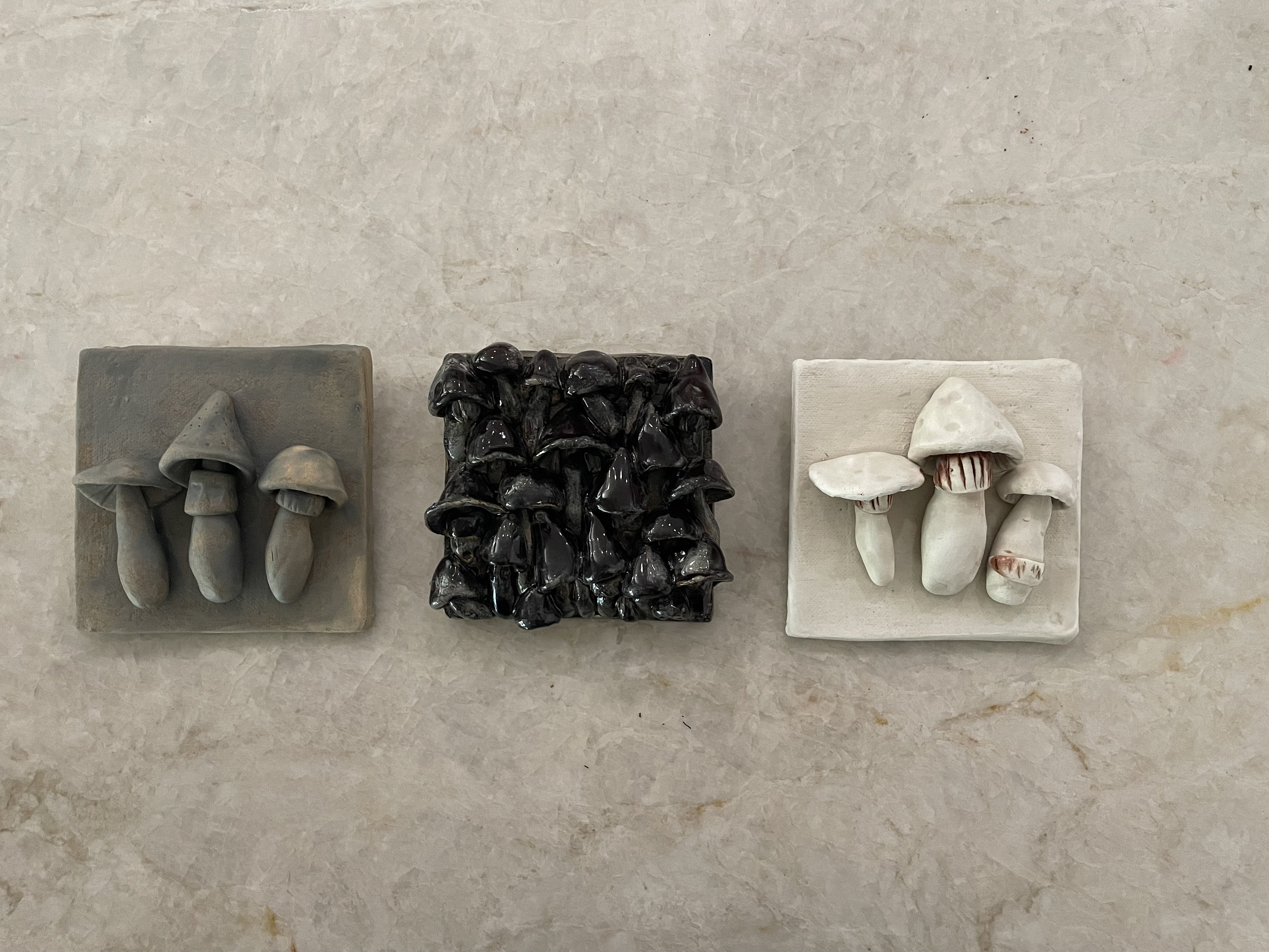 MUSHROOMS Tiles 4x4 Wall Art Home Fungi Decor Backsplash - Etsy