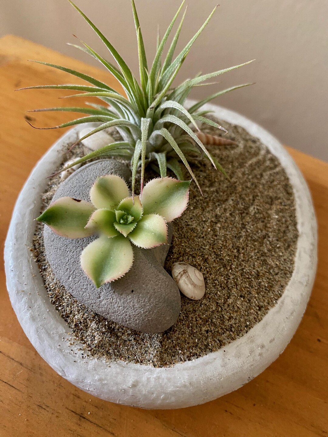 NEW! Zen Garden in Small Stone Bowl With Air Plant and Succulent - Etsy