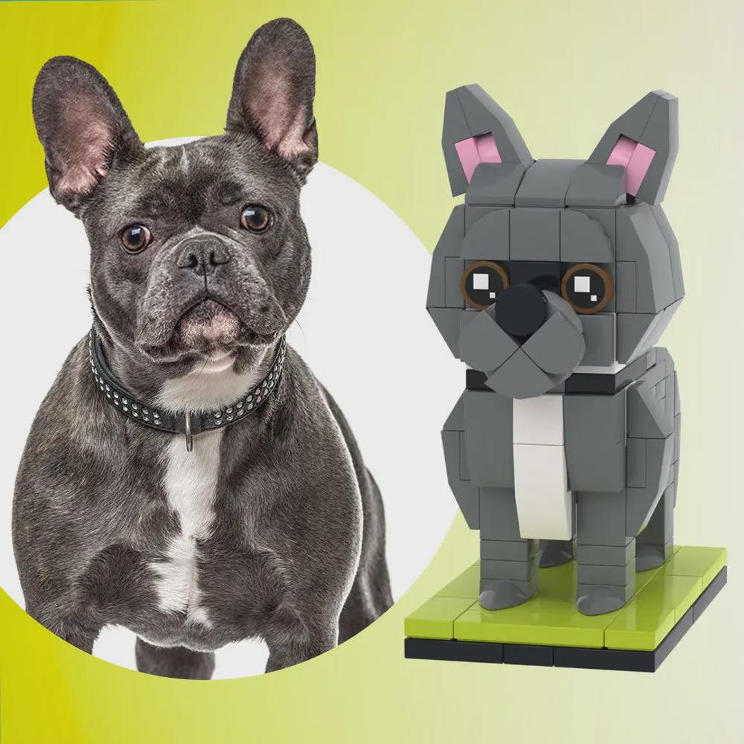 Fully Body Customizable French Bulldog 1 Dog Photo Custom Brick Figures ...