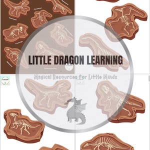 Dinosaur Fossil Treasure Hunt – EYFS Sensory & Discovery Game ...