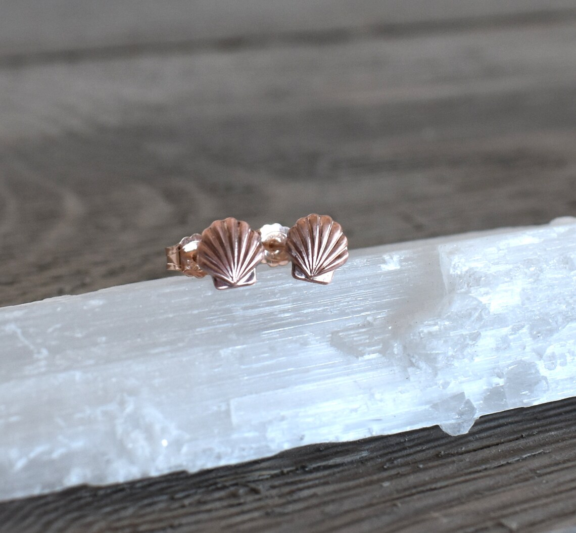 Sea Shell Studs Shell Earrings Seashell Studs Shell Posts - Etsy