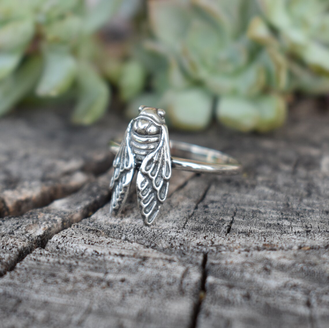 Cicada Ring Brood Cicada Entomologist Cicada Wing Bug - Etsy