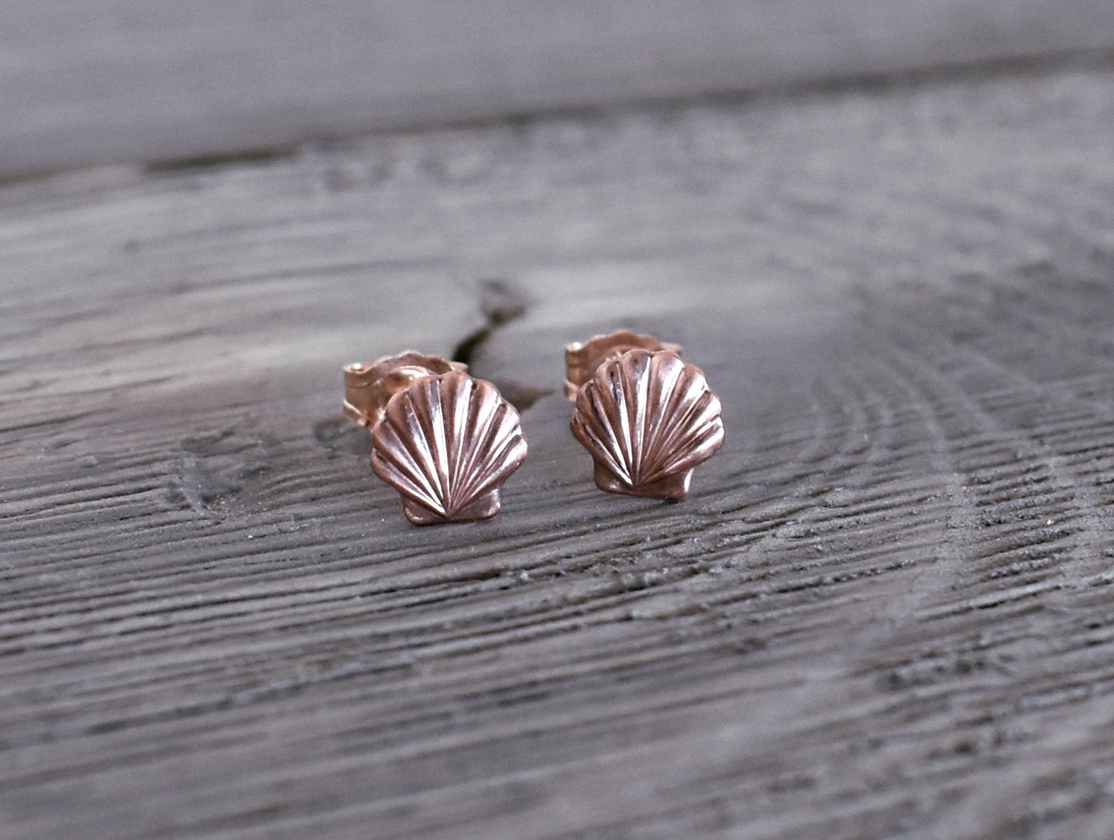 Sea Shell Studs Shell Earrings Seashell studs Shell posts | Etsy