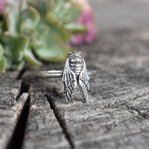 Cicada Ring, Brood Cicada, Entomologist, Cicada Wing, Bug Necklace, 17 ...