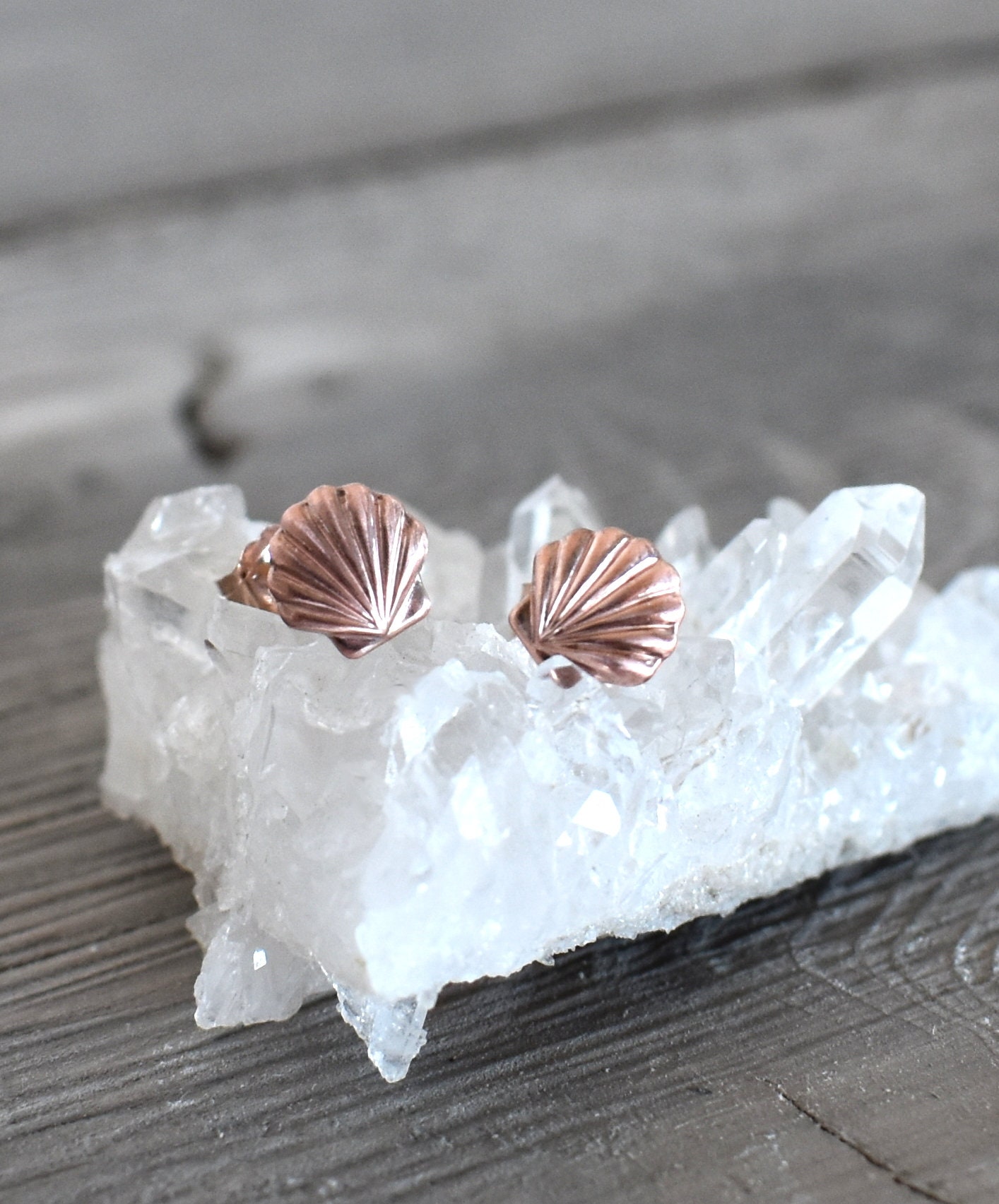 Sea Shell Studs Shell Earrings Seashell studs Shell posts | Etsy