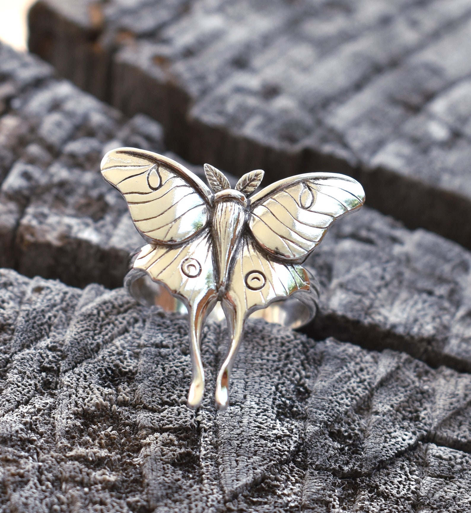 Luna Moth Ring Moth Ring Sterling Silver Ring Silver Moth | Etsy