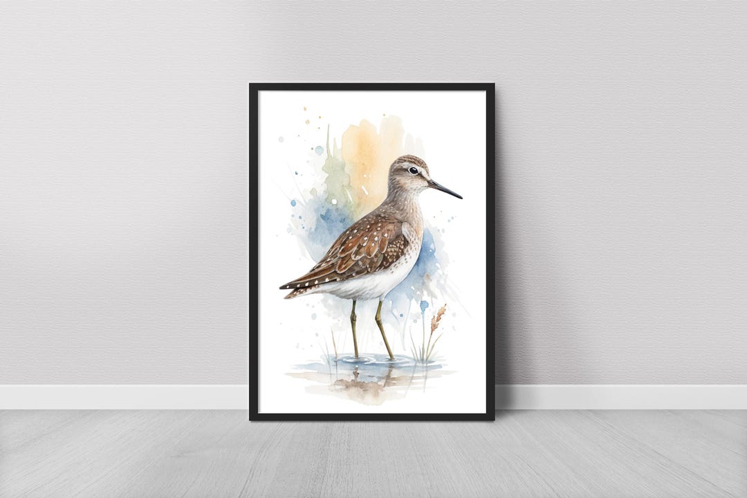 Sandpiper Watercolor Painting: Coastal Bird Wall Art Print - Etsy