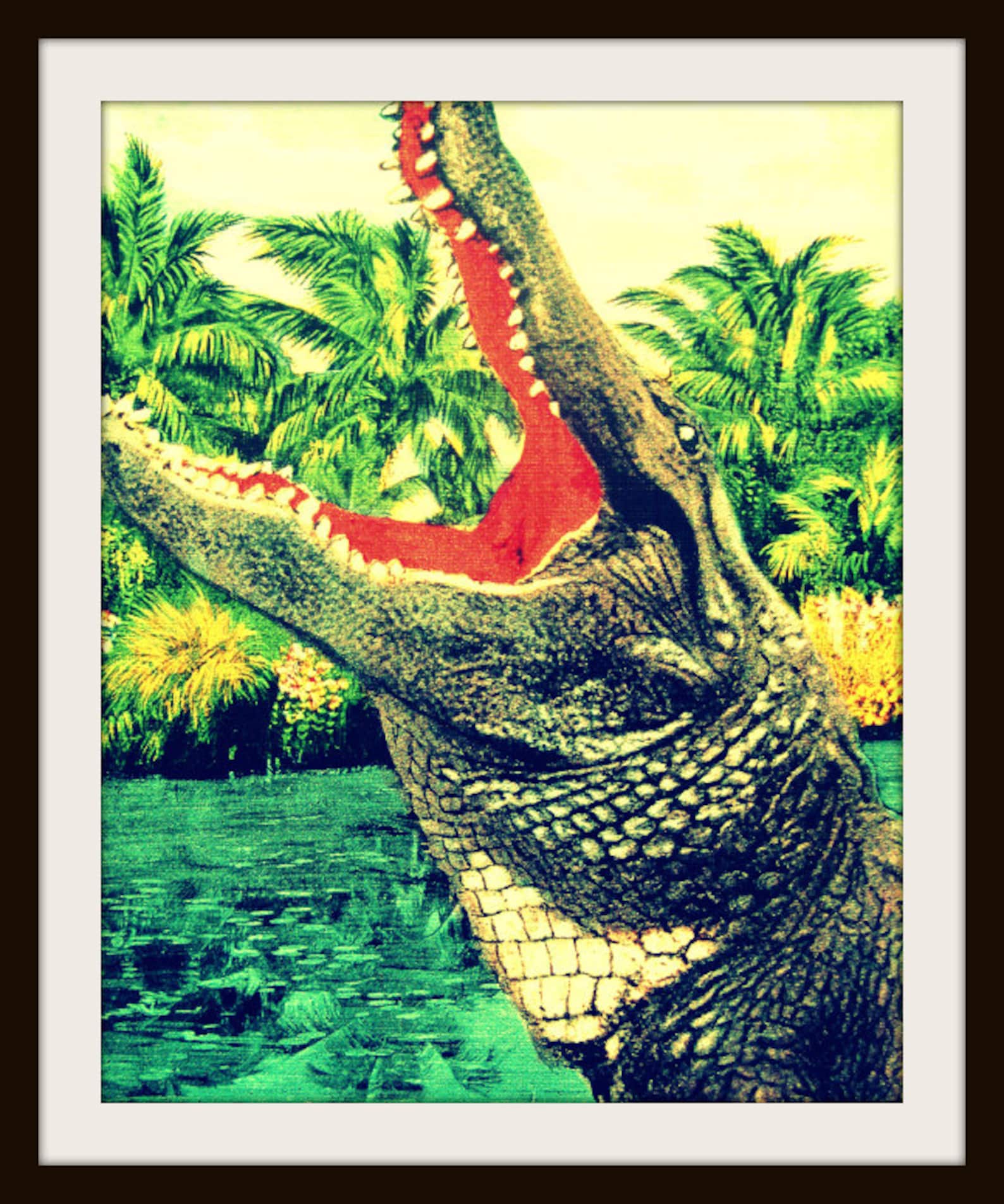 Retro Alligator Art Florida Gators Animal Art Coastal Wall | Etsy