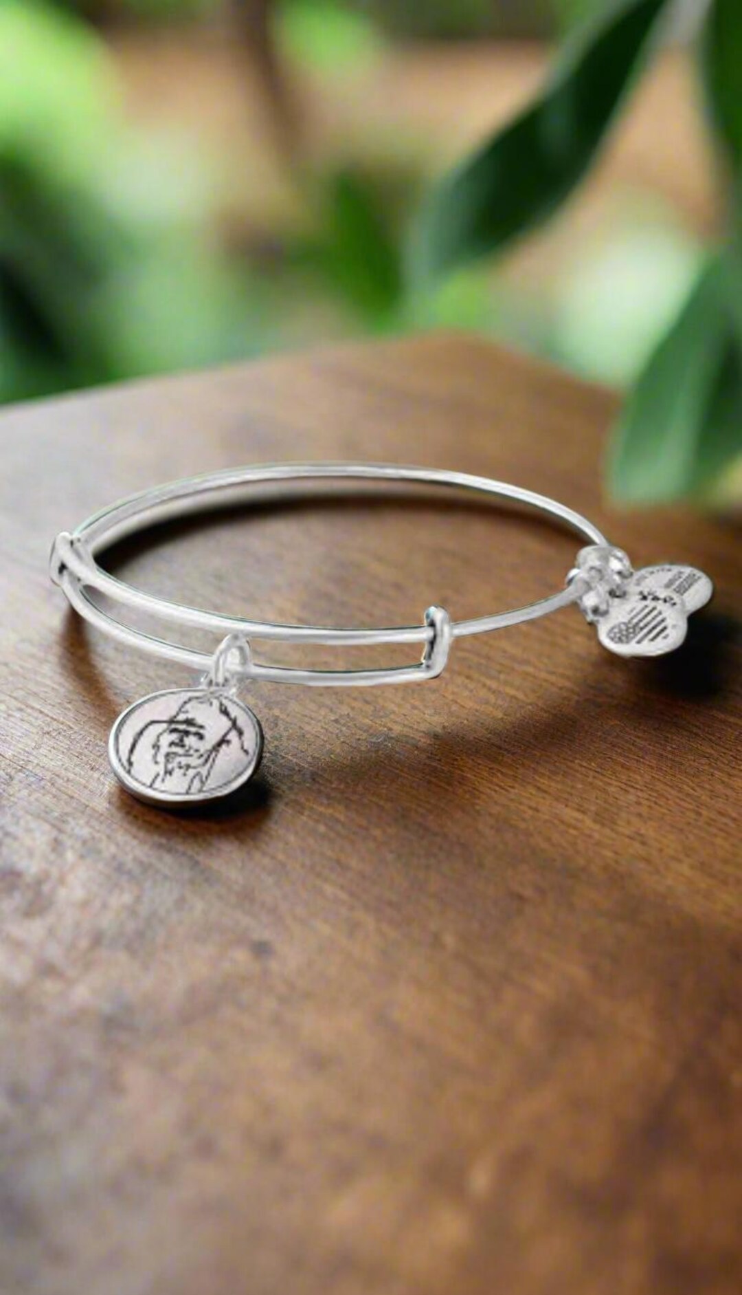 Alex and Ani Gorilla Charm Bangle: Rafaelian Silver, the Ellen Fund - Etsy