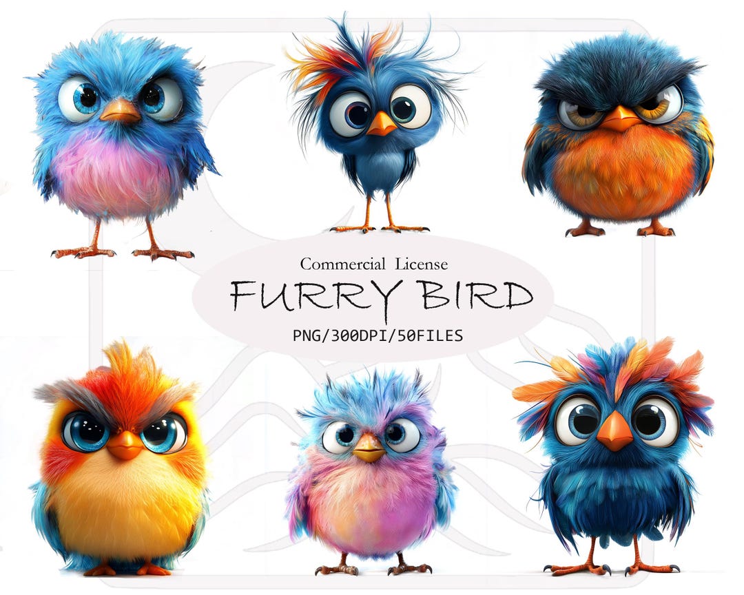 50 Furry Bird Clipart Bundle – Cute Colorful Cartoon Birds – PNG Files ...