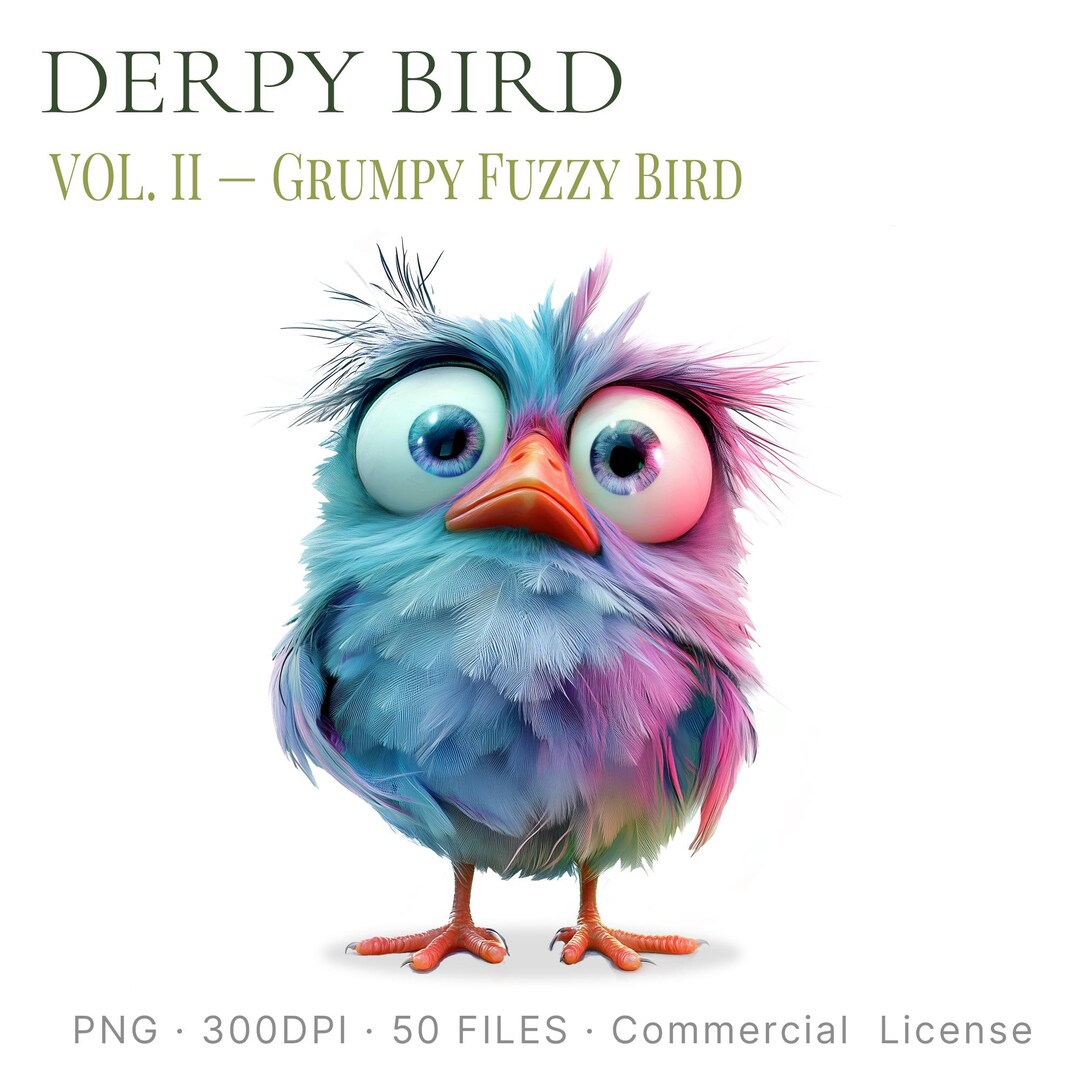 Grumpy Fuzzy Bird PNG Bundle | Fluffy Whimsical Sublimation Design - Etsy