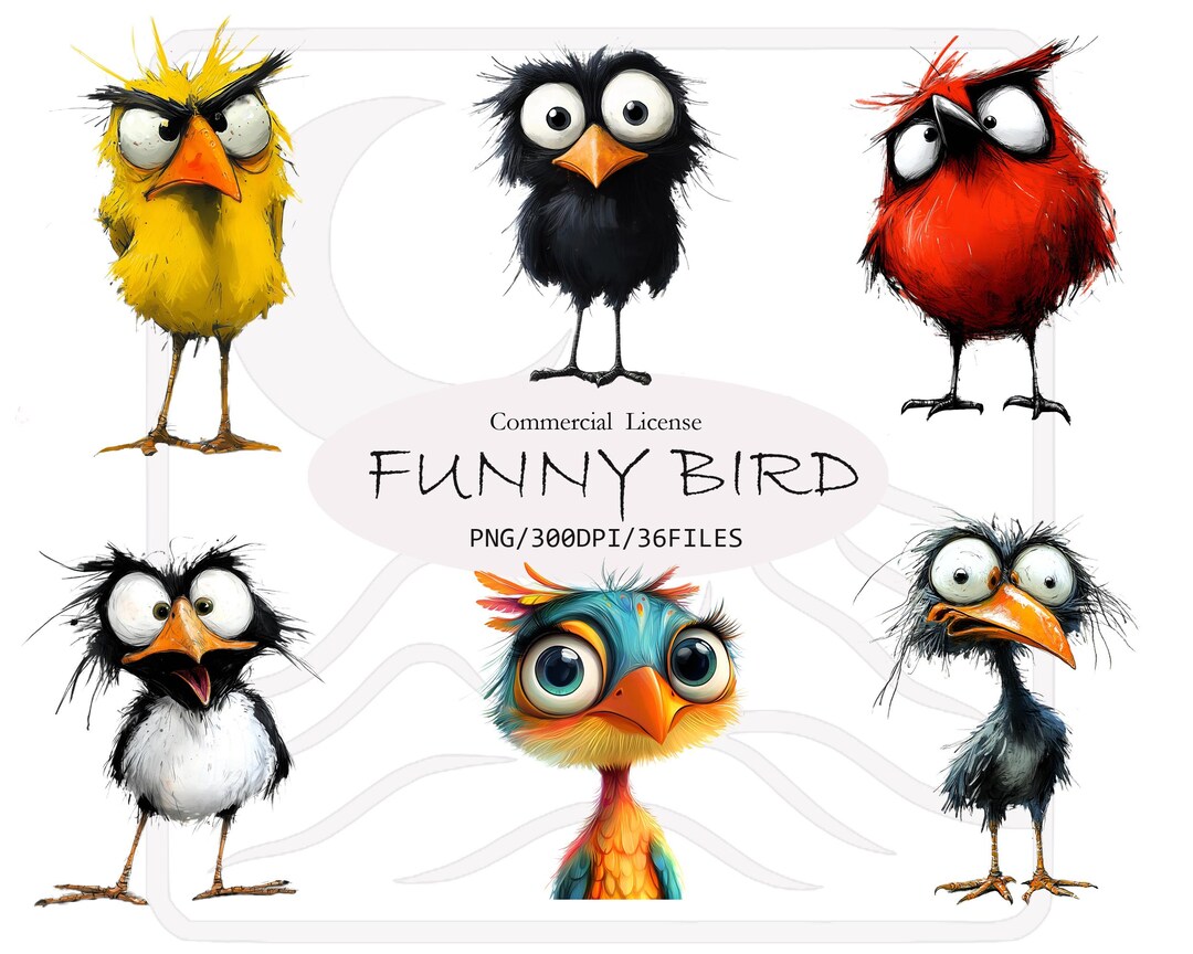 Funny Cartoon Birds Clipart Bundle | Cute Colorful Bird Pngs ...