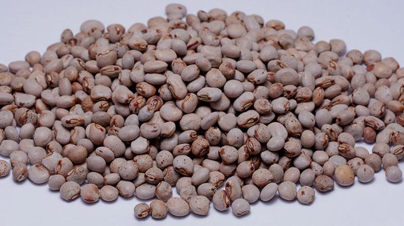 Pwa Kongo Sèch , Pigeon Peas. - Etsy