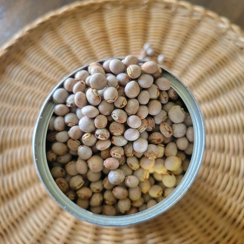 Pwa Kongo Sèch , Pigeon Peas. - Etsy