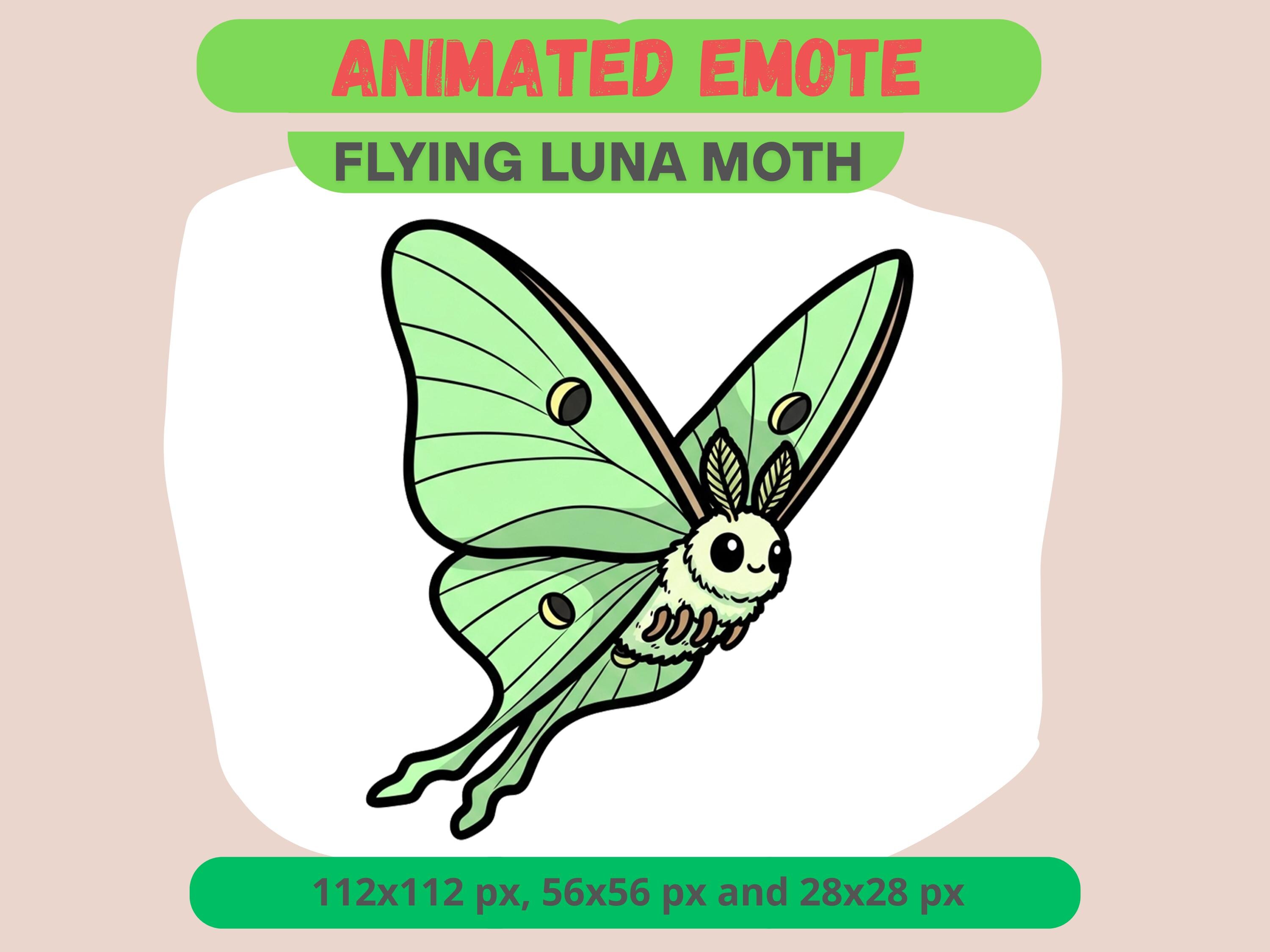 Luna Moth Animated Emote for Streamers, Green Magical Flying Butterfly ...