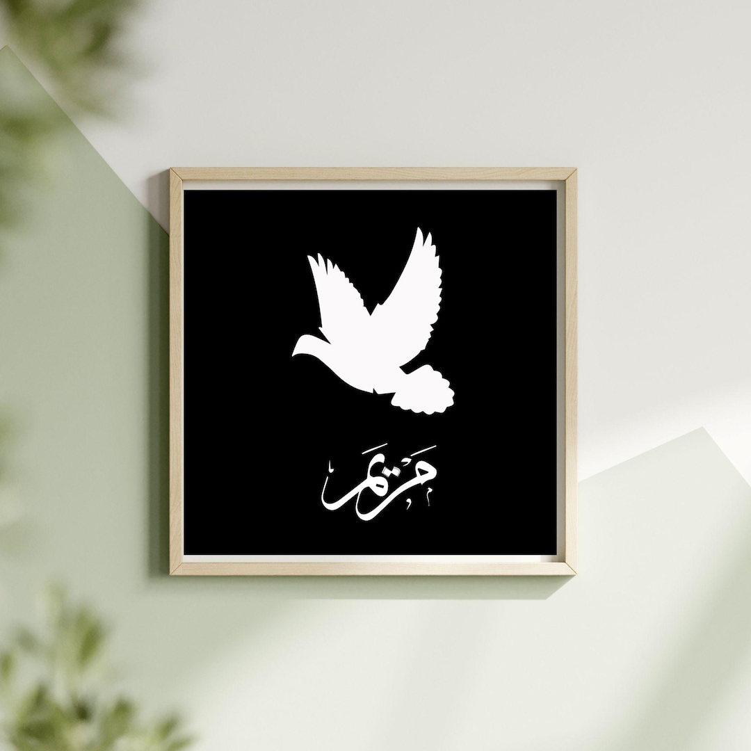 Maryam Dove & Light Rays |maryam Islamic Name Meaning Pious and Pure ...