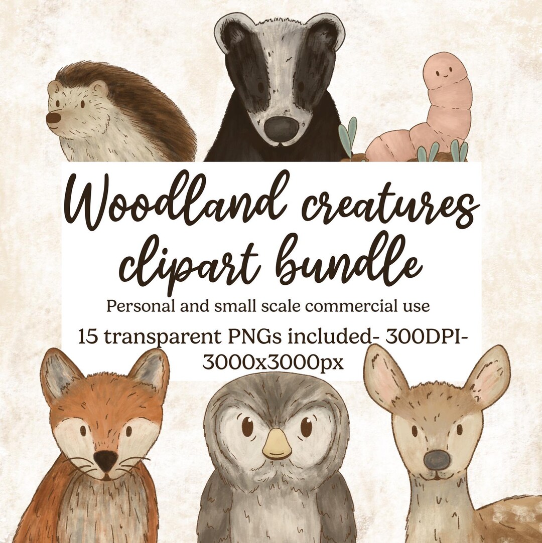 Woodland Animals Clipart Bundle, Baby Animals Digital, Boho Forrest ...